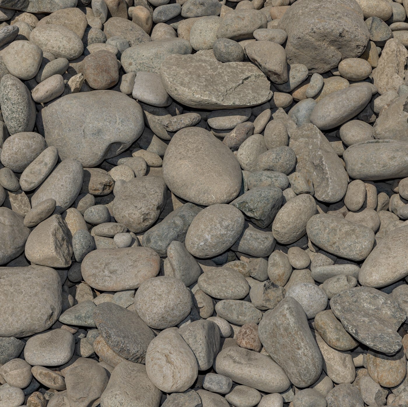 Oversized Standard River Rock